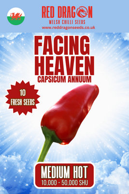 Facing Heaven Chilli Seeds - 10 Fresh Seeds