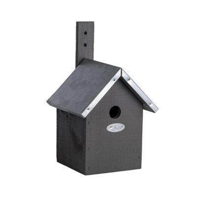 Fallen Fruits Wren Blue Tit House Grey