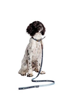 Fatface Marching Dogs Woven Genuine Leather Trim Metal Buckle Blue Dog ...