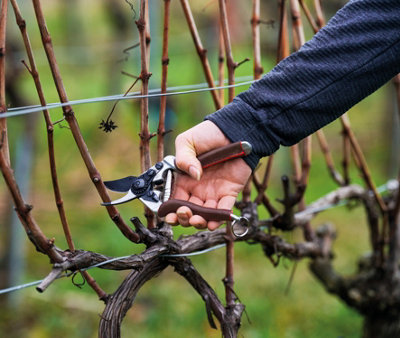 Felco 6 Elite Secateurs Medium Hands