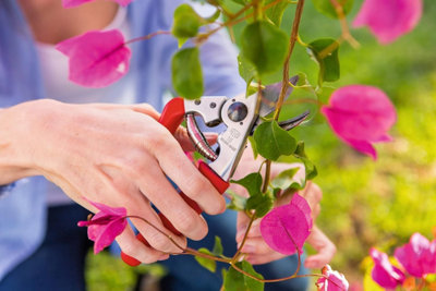 FELCO MODEL 15 SECATEURS SMALL ROTATING RIGHT HANDED