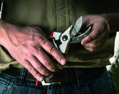 Felco Model 2 Secateurs Large Right Handed