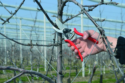 Felco Model 2 Secateurs Large Right Handed
