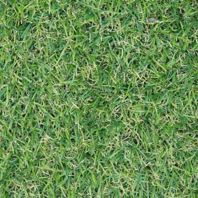 Fern 20mm Soft Outdoor Artificial Grass, Value For Money, Pet-Friendly ...