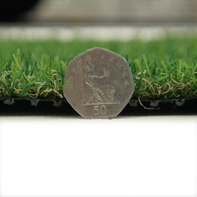 Fern 20mm Soft Outdoor Artificial Grass, Value For Money, Pet-Friendly ...