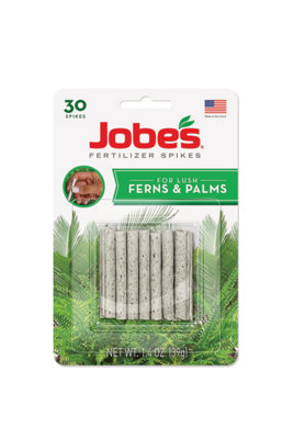 Fern & Palm Plant Food Fertiliser / Fertilizer x30 Sticks Slow-Release ...