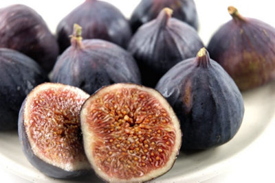 Fig (Ficus) Brown Turkey 4.5 Litre Potted Plant x 2