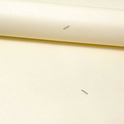 Fine Décor Zeddy & Parsnip Wood Fleck Wallpaper