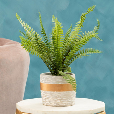 Fiori Boston Fern Succulent Artificial Plant Foliage