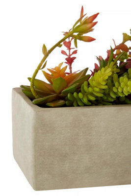 Fiori Mixed Succulents with Cement Pot Artificial Plant Foliage