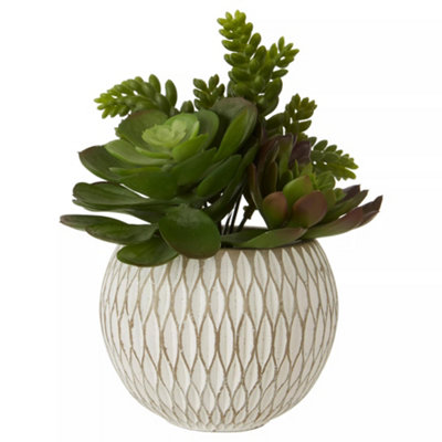 Fiori White Round Pot Mixed Succulent Artificial Plant Foliage | DIY at B&Q