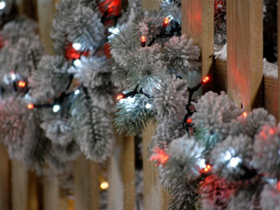 Firefly Lights - Carnival - 1000 LED Lights