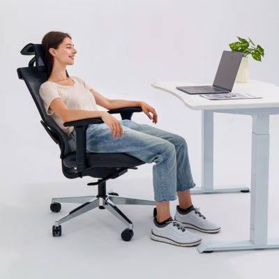 FlexiSpot Breathable and Comfortable Ergonomic Office Chair with Lumbar ...