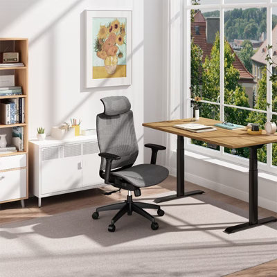 FlexiSpot Ergonomic Full Mesh 3D Armrest Office Chair in Grey