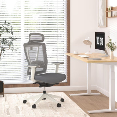 Flexispot Ergonomic Office Chair with Dynamic Seat Movement BS14 in Grey