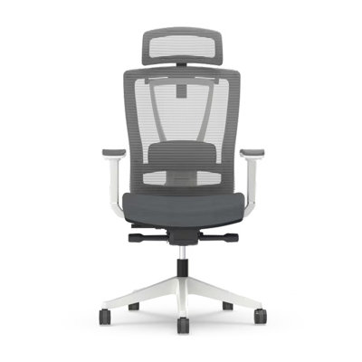 Flexispot Ergonomic Office Chair with Dynamic Seat Movement BS14 in Grey