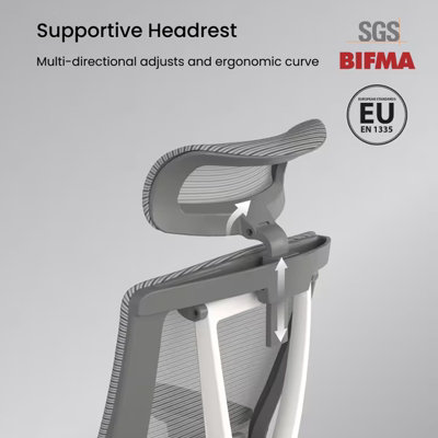 Flexispot Ergonomic Office Chair with Dynamic Seat Movement BS14 in Grey