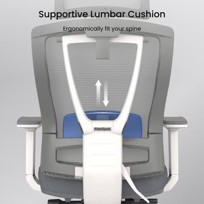 Flexispot Ergonomic Office Chair with Dynamic Seat Movement BS14 in Grey