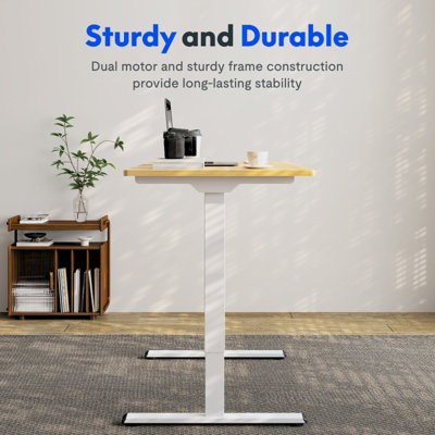 FlexiSpot Height Adjustable Standing Desk Frame in Black with Dual ...