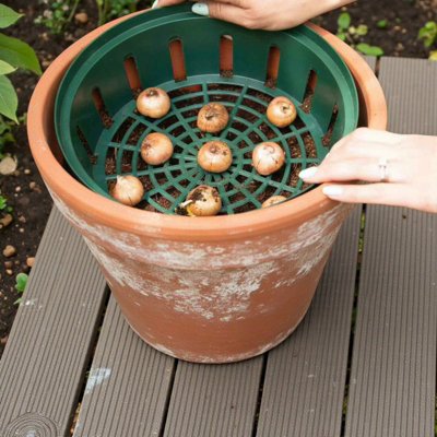 Flower Bulb Planting Basket Mix - 18 x 26cm & 30cm Round Durable ...