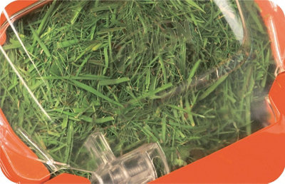 Buy Flymo Chevron 32V Electric Lawnmower at B&Q