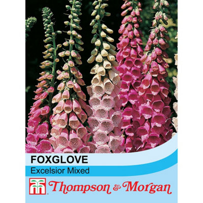Foxglove Excelsior Hybrid Mixed 1 Packet (2500 Seeds)