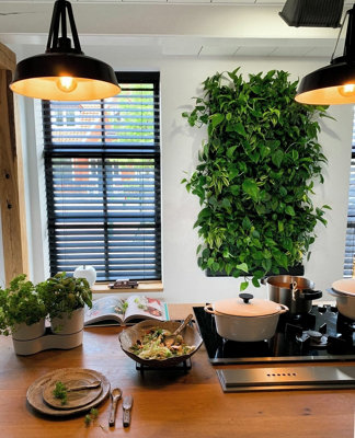 Frameless Living Wall System BB