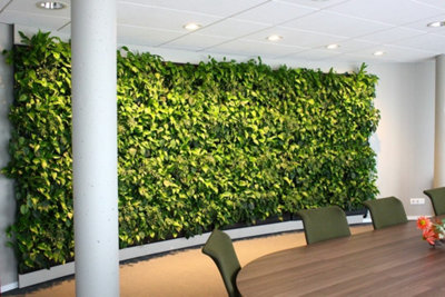 Frameless Living Wall System BB