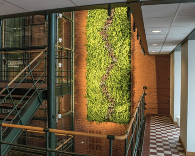 Frameless Living Wall System BB