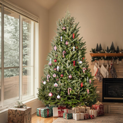 Fraser Fir Fresh Cut Christmas Tree - Real Xmas Tree for Festive Winter ...