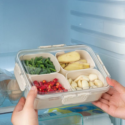 Freezer safe 4 Compartments Food Storage Container with Lid and handle