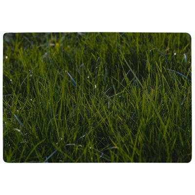 Fresh Green Grass Background, Natural Grass Designer Special Soft Home Rug