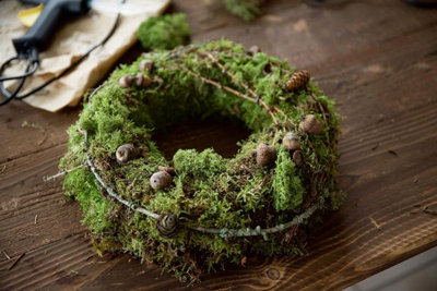 Fresh Sphagnum Moss - 5kg Bag - Natural Sphagnum Moss - High Quality