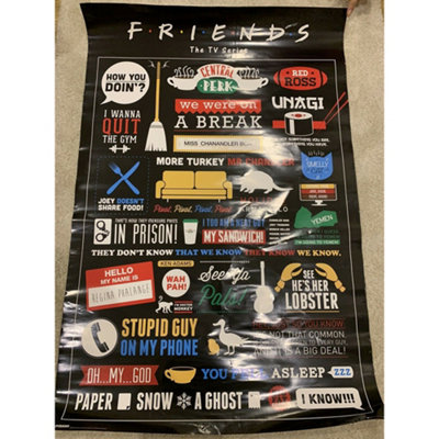 Friends Infographic Poster