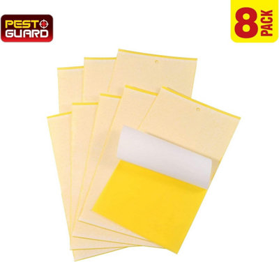 Fruit Fly Traps Double Adhesive Sticky Pads Pack of 8 Multi-Use Glue ...