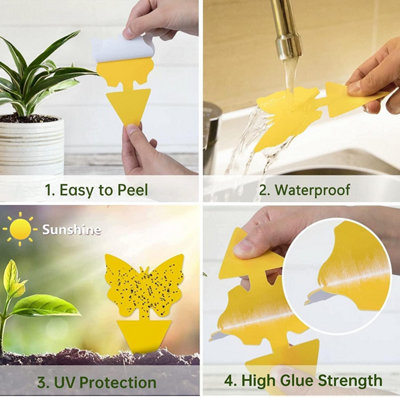 Indoor bug traps store