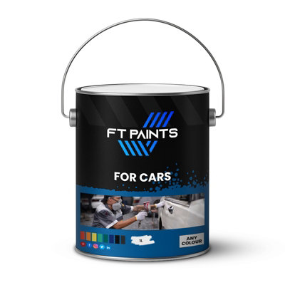 FT Paints 1.633L Kit ACRY High-Gloss 2K Paint with Hardener E9006 For ...