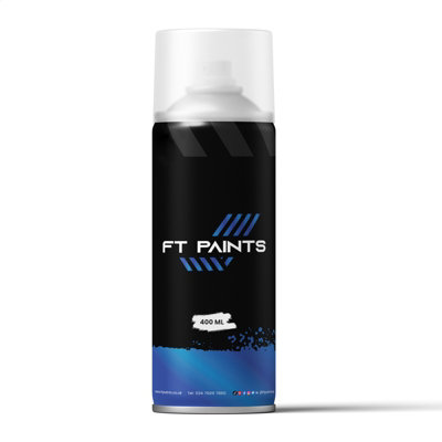 FT Paints 400 ml Kit Epoxy Gloss Finish Spray Can For Retail Stores-RAL ...