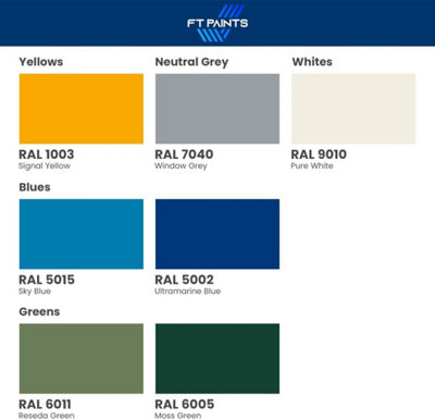 FT Paints 400ml Spray Can ACRY High-Gloss 2K Paint with Hardener E9006 ...