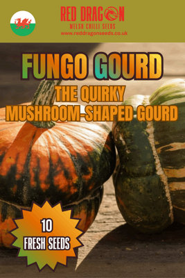 Fungo Gourd Seeds for Vegetable Patch Growing