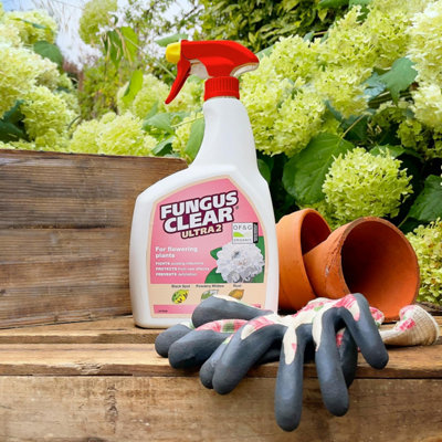 FungusClear Ultra 2 800ml Ready to Use Fungicide for Outdoor Plants ...