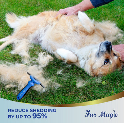 Fur Magic Deshedding Tool & Dematting Comb - Grooming Brushes for Dogs ...