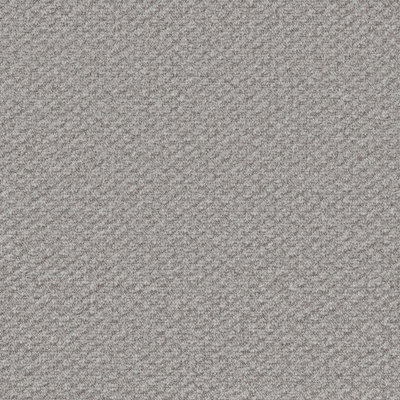 Furlong Flooring Mojave Loop Carpet (Stone, 3m x 5m)