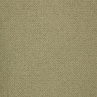 Furlong Flooring Sustainable Luxury Loop Carpet (Green Stone, 2m x 4m)
