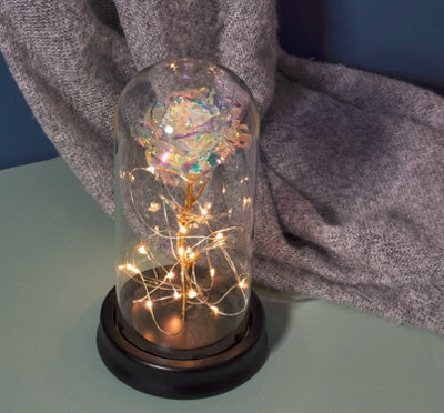 Galaxy Rose Flower Gift, Glass Infinity Rose in Glass Dome, Lights LED ...