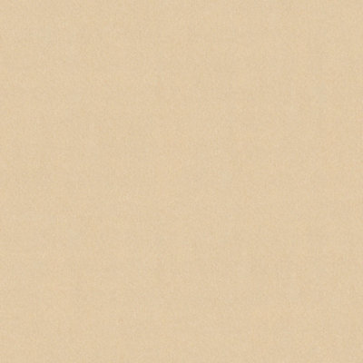 Galerie Blooming Wild Metallic Beige Plain Texture Wallpaper Roll