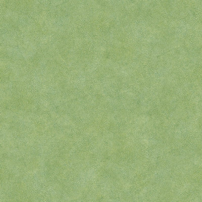 Evergreen Texture Seamless