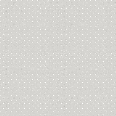 Galerie Little Explorers 2 Silver Dots Wallpaper Roll