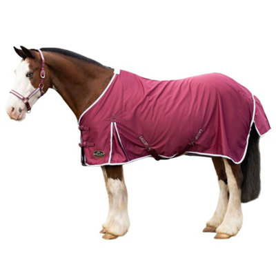 Gallop Standard-Neck Horse Summer Sheet Burgundy (5)