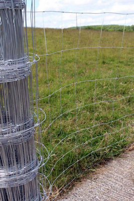 Galvanised Stock Fencing L8/80/15 for Sheep/Pig/Livestock 80cm High ...